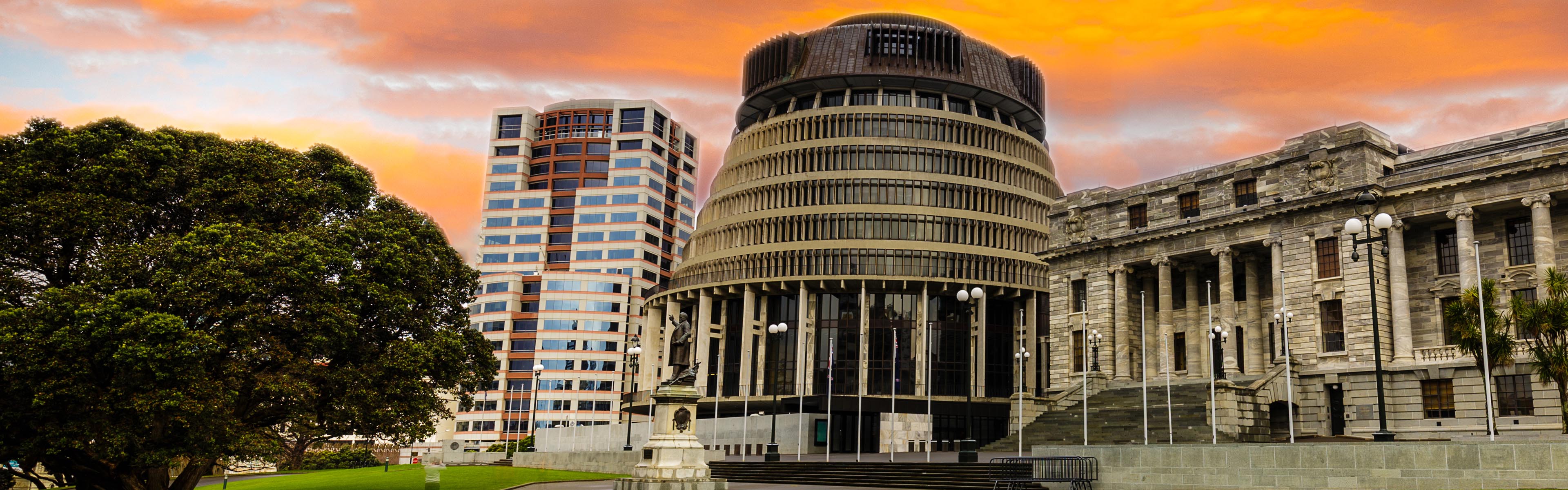 What does a virtual parliament look like during COVID-19?